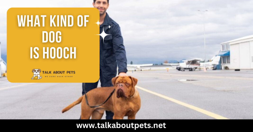 What is a Female Dog Called - Explained Here