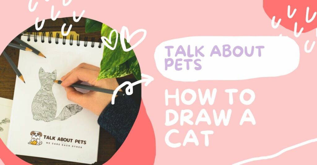 How I Draw A Cat Step by Step Guide 2023 - Talk About Pets